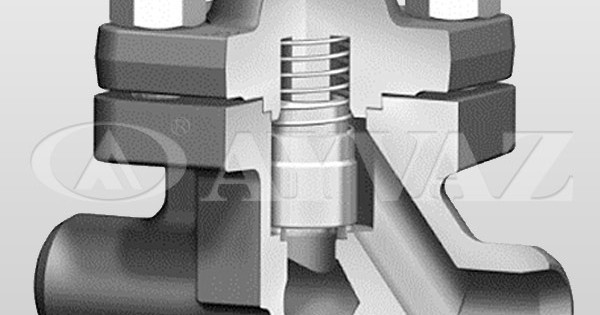 ARI-CHECKO-V MP Lift Çek Vana / Orta Basınç Sınıfı PN63-160 - Aydın Yıldız